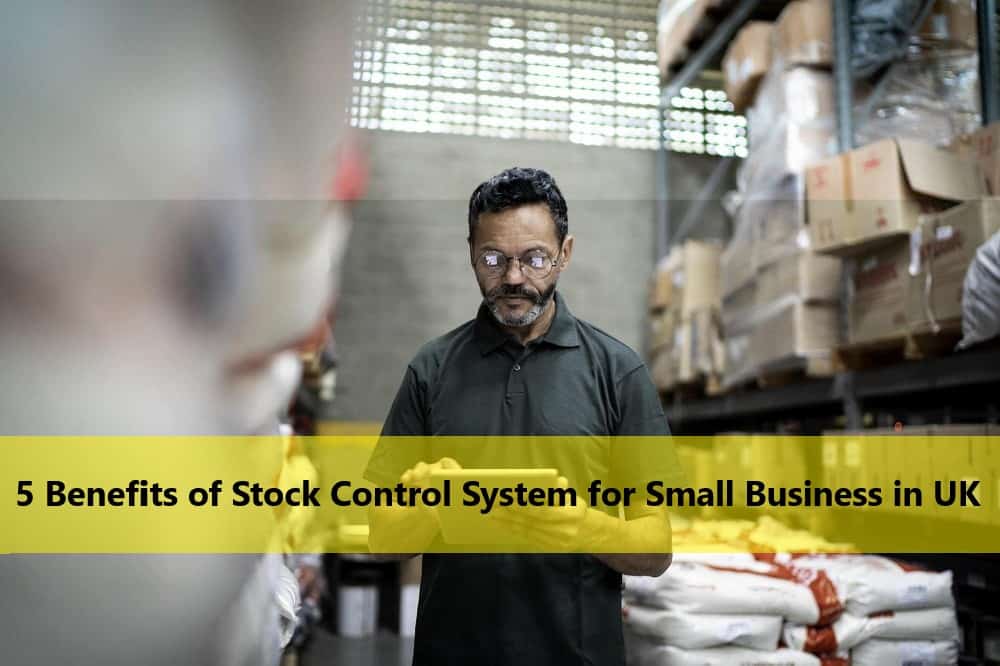 Build A Small Aquaponics System