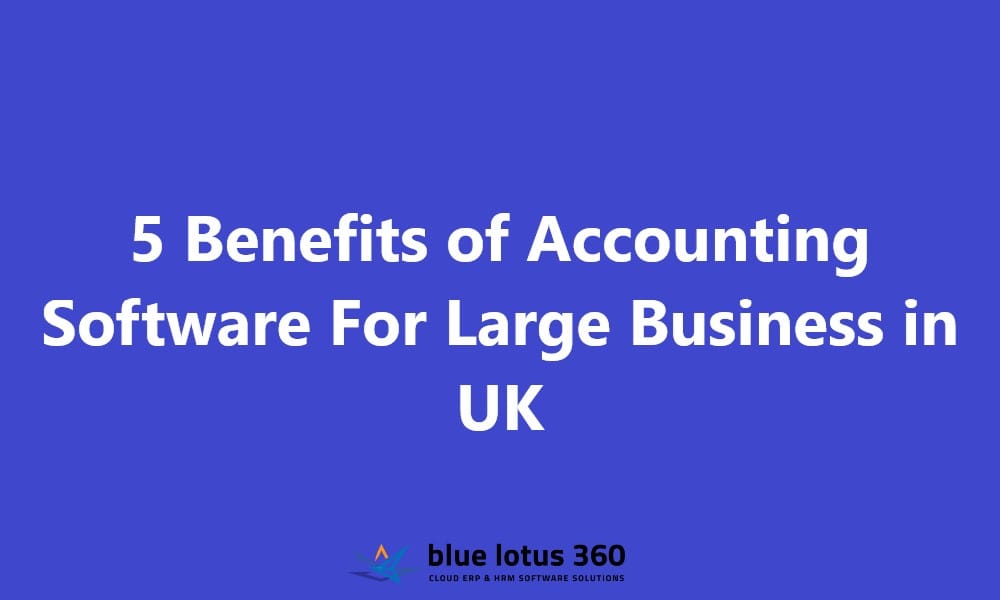 5 Benefits of Accounting Software For Large Business in UK